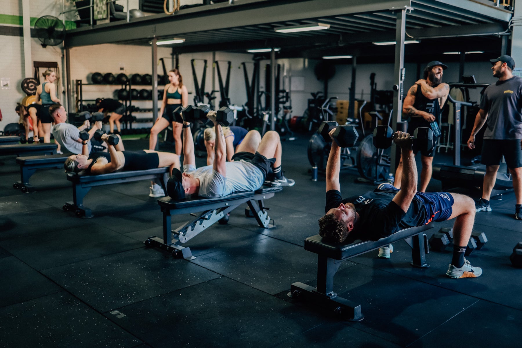 TFE | The Functional Effect Strength & Conditioning